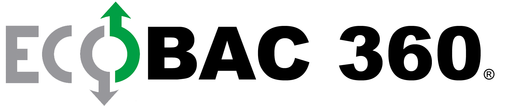 Conteneurs enterrés pour Bac Roulants